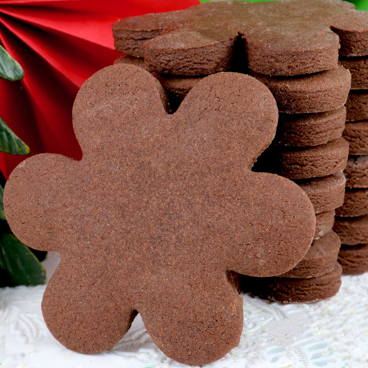 Chocolate sugar cookie recipe store
